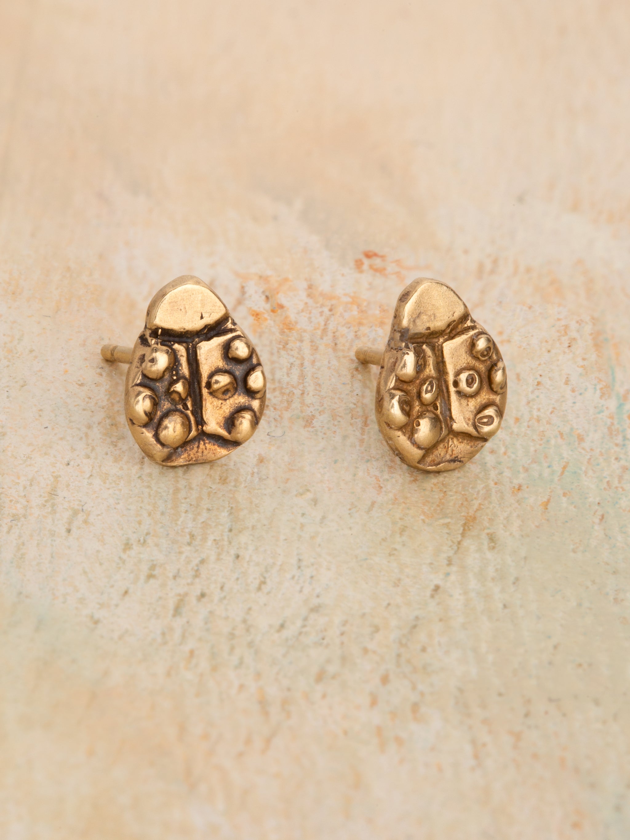 Ladybug Magic Earrings