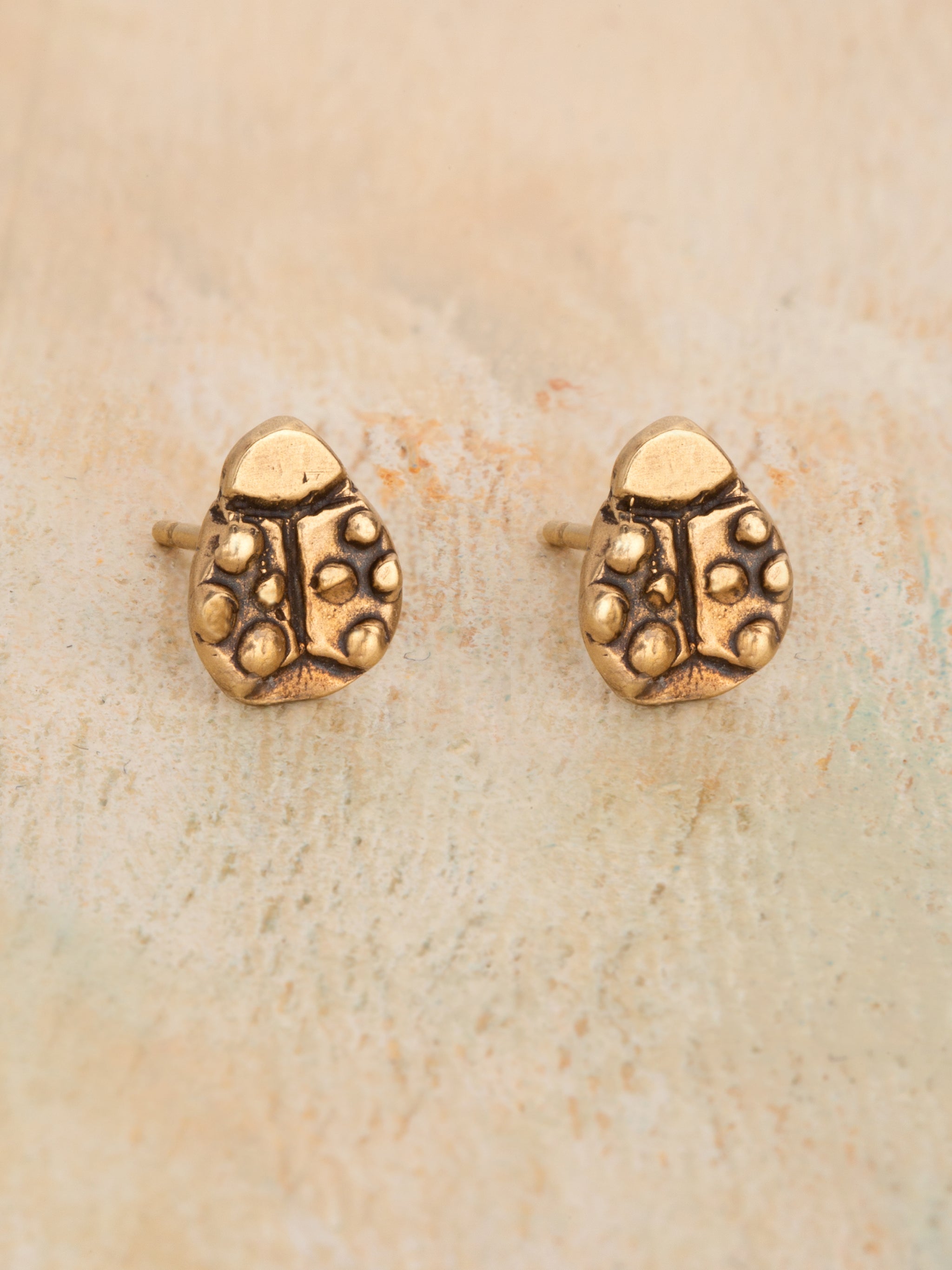 Ladybug Magic Earrings